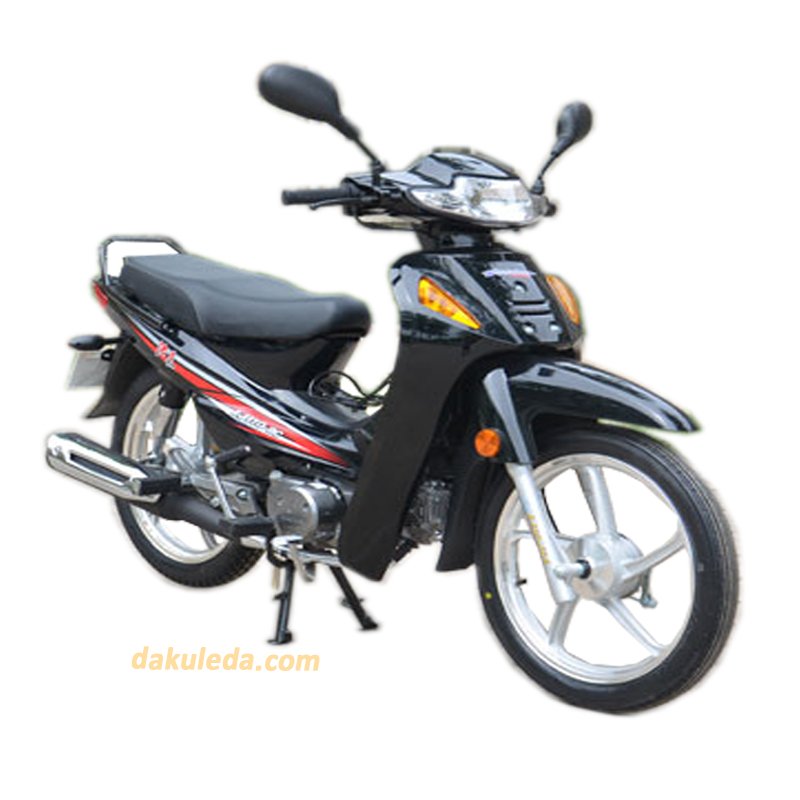 LOUJIA NORTH 110 - Dakuleda